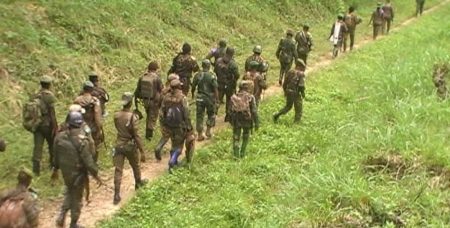 RDC : les FARDC dénoncent de nouvelles attaques de la coalition RDF-AFC ...